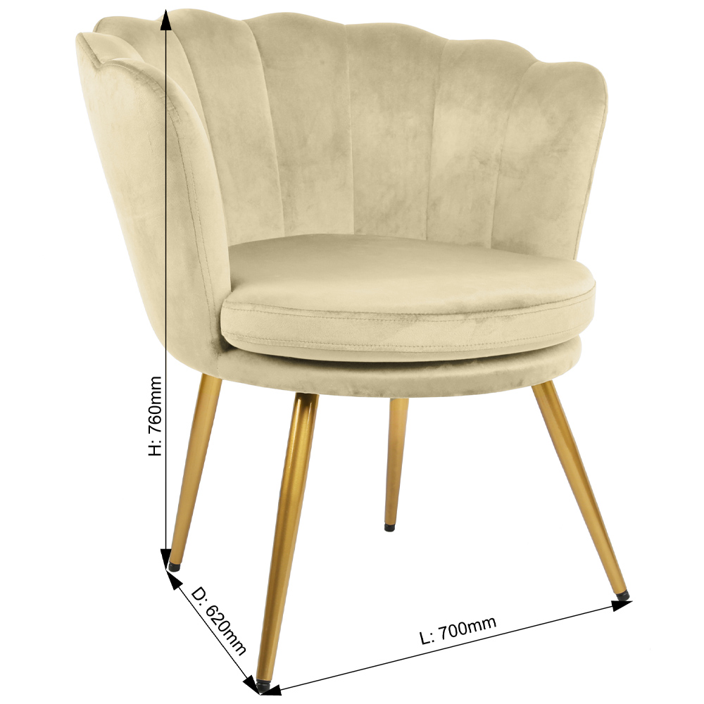 Genesis Flora Accent Chair with Petal Back Scallop Armchair in Velvet ...